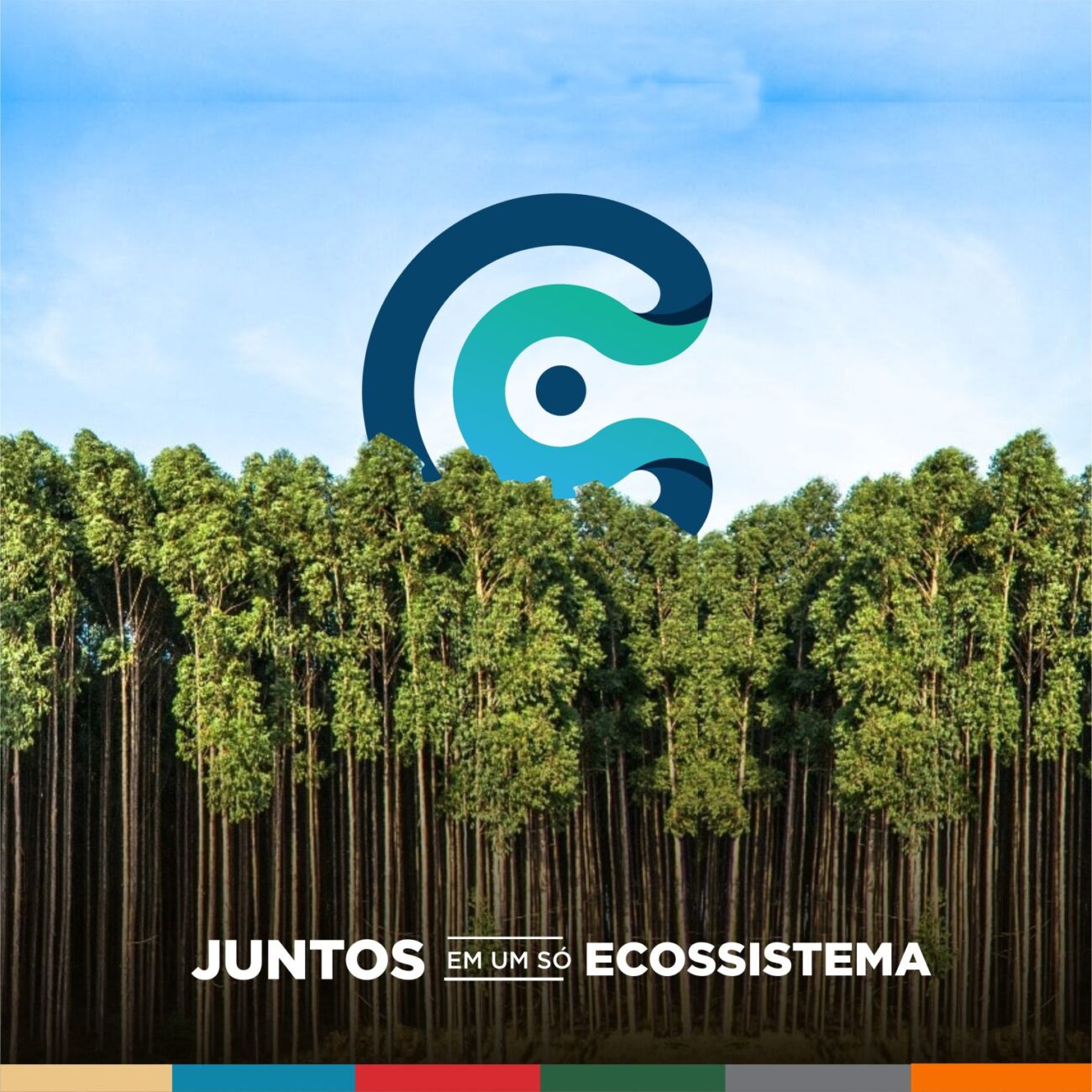 Grupo Comber unifica operações do Grupo Comelli em um único ecossistema ...